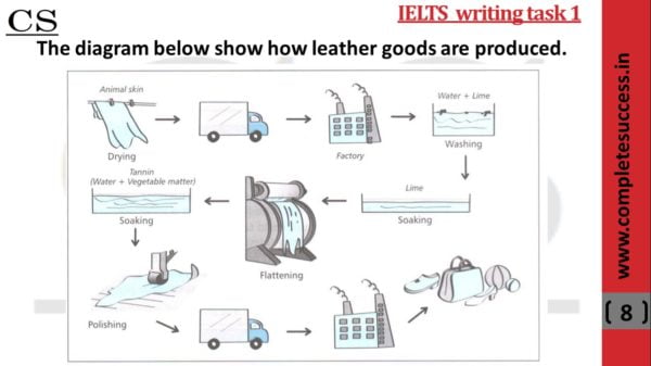 The diagram below shows how leather goods are produced. - Complete ...